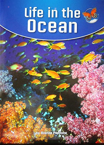 best ocean books for kids